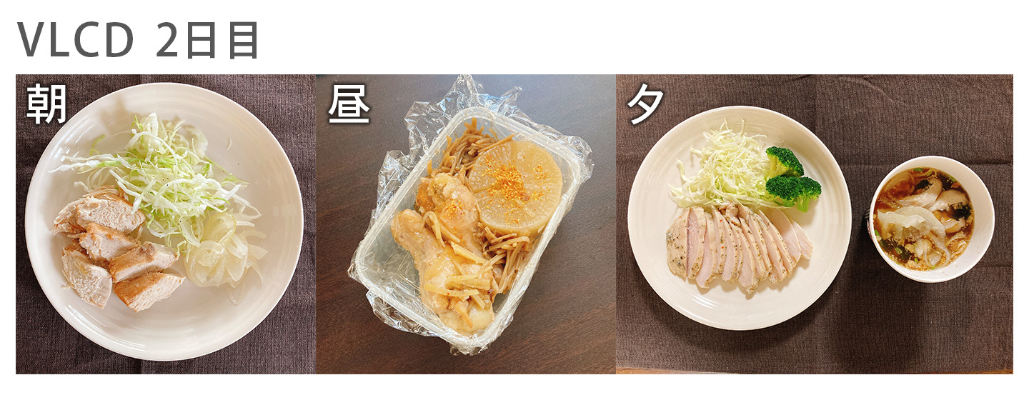 VLCDダイエットの食事メニューと空腹対策を経験者が詳しく紹介！ | ダイエットゴブリン