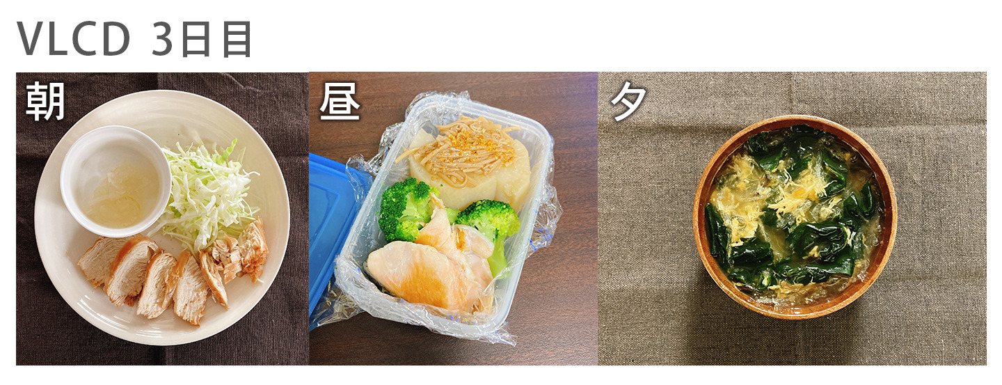 VLCDダイエットの食事メニューと空腹対策を経験者が詳しく紹介！ | ダイエットゴブリン